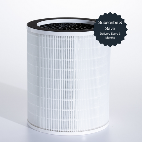 Clean Air Club Subscription – Sans